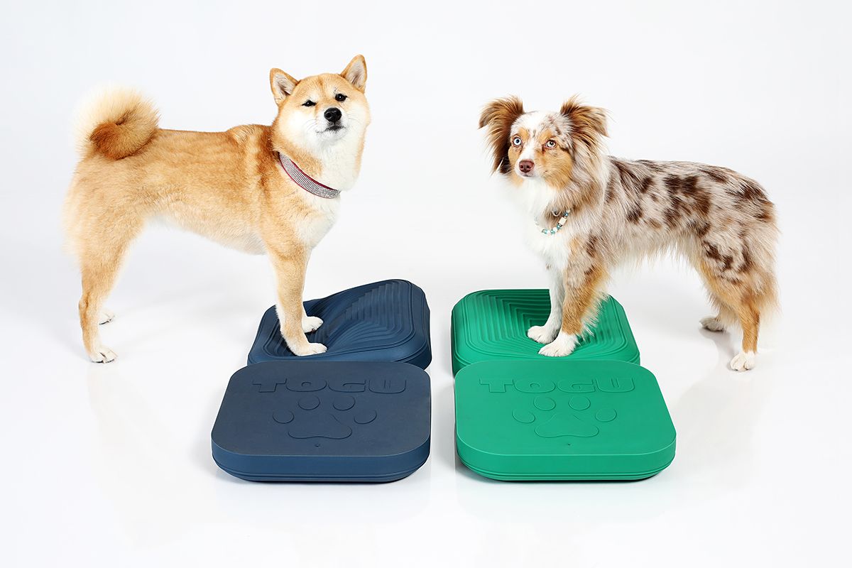 Devices for animal physiotherapy | For dog & horse | TOGU Shop